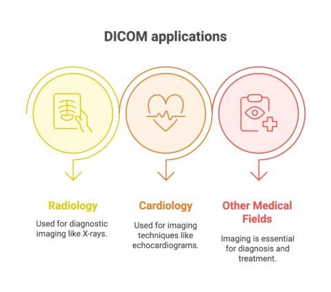What Is The Difference Between DICOM and PACS? | Radsource