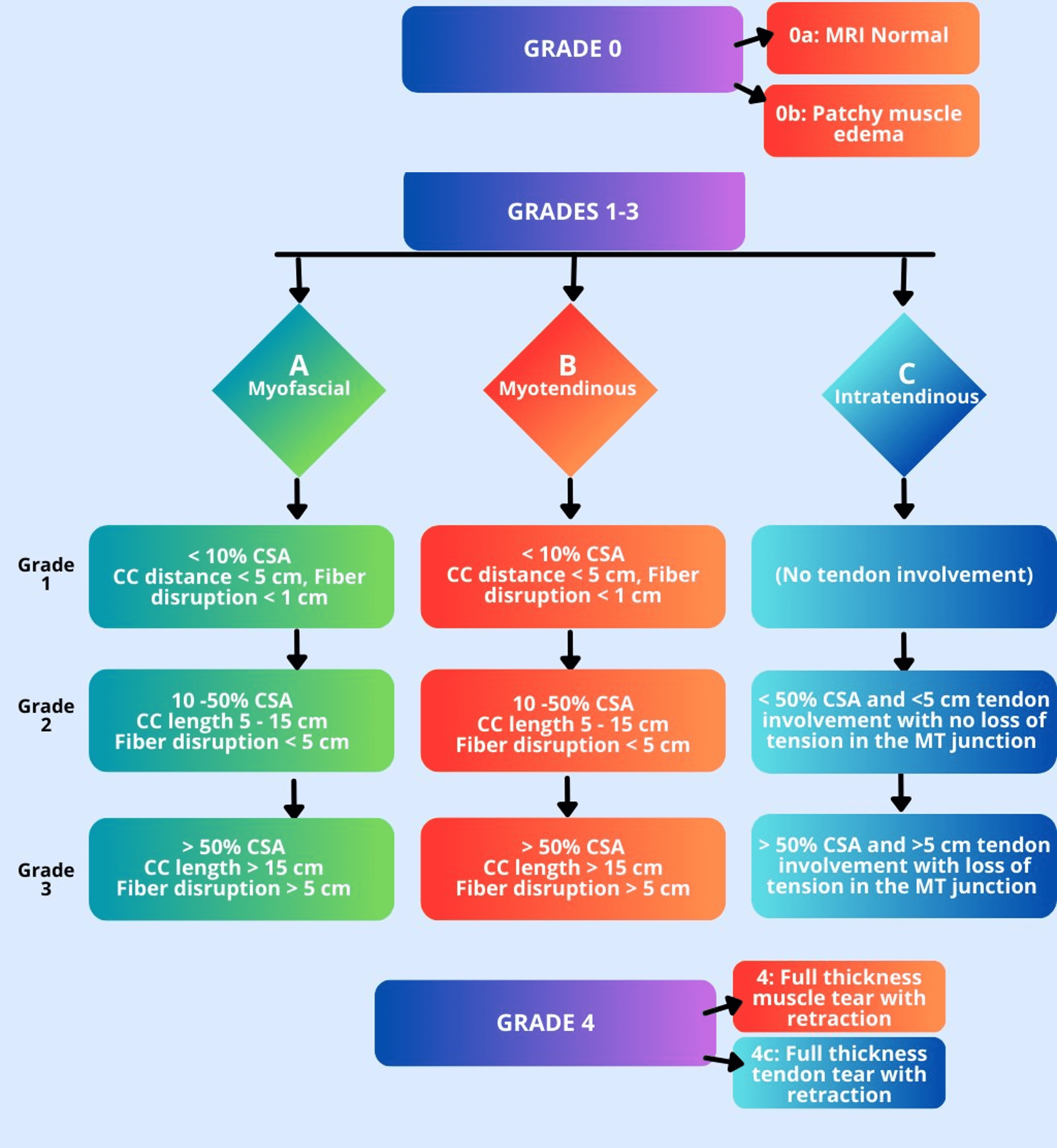 Grading Hamstring Injuries using the British Athletics Muscle Injury ...